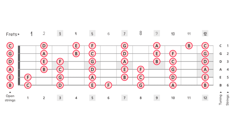 Master the Fretboard: 6-String Bass Notes - MicroCosmologist