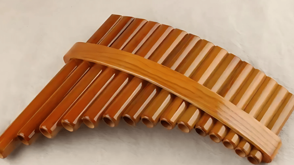 14 Instruments That Start with P - MicroCosmologist