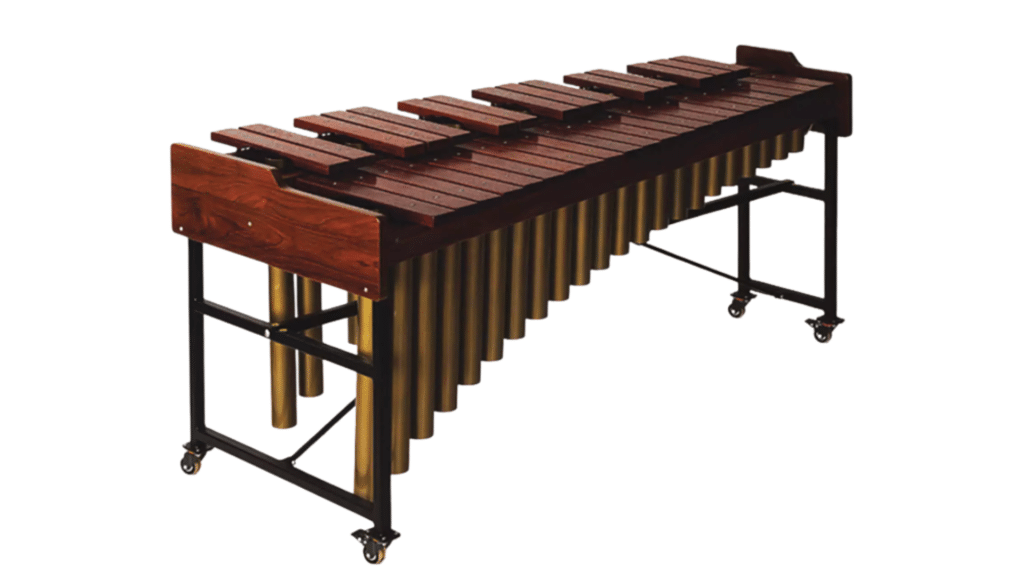 31 Instruments That Start With M: Sounds From Every Culture - MicroCosmologist