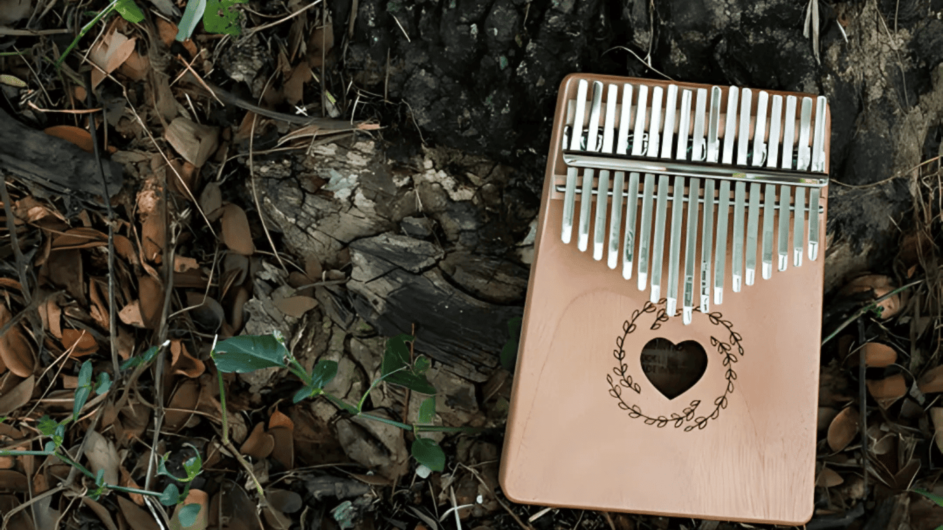31 Instruments That Start With M: Sounds From Every Culture ...