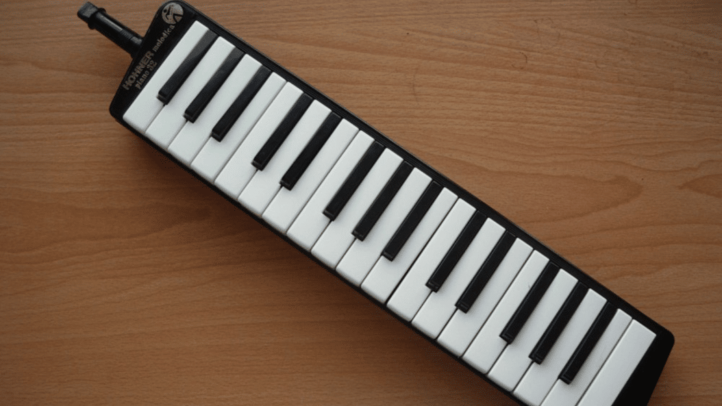 31 Instruments That Start With M: Sounds From Every Culture ...