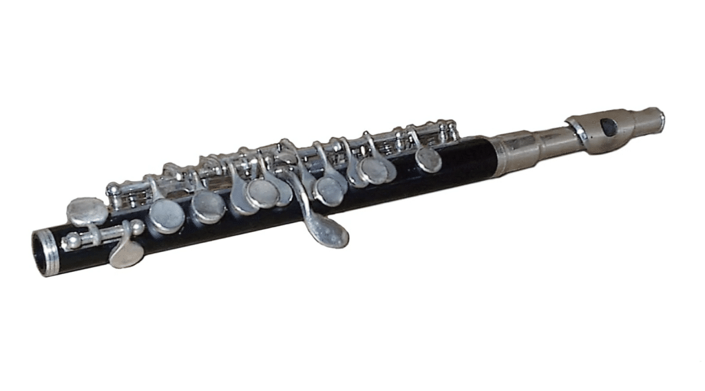 14 Instruments That Start with P - MicroCosmologist